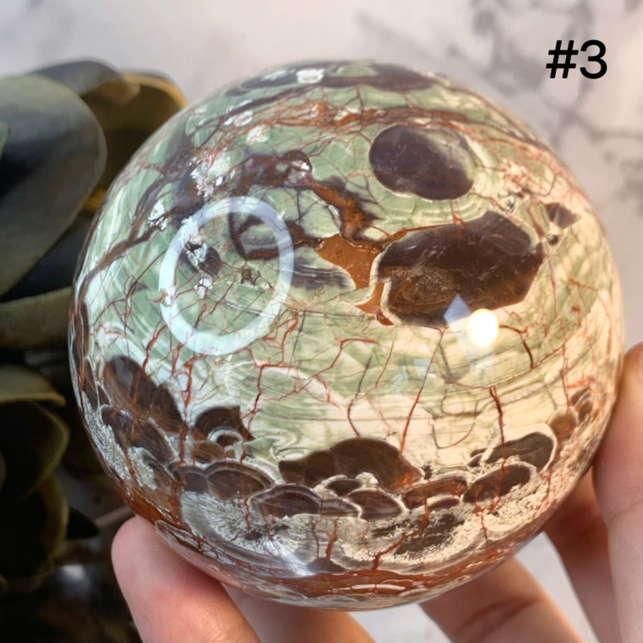 Money Agate Sphere – zaiencrystal.com