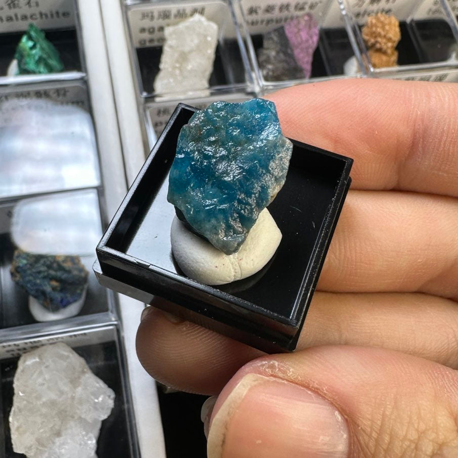 Exquisite Specimens Box – zaiencrystal.com