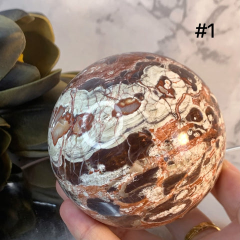 Money Agate Sphere – zaiencrystal.com