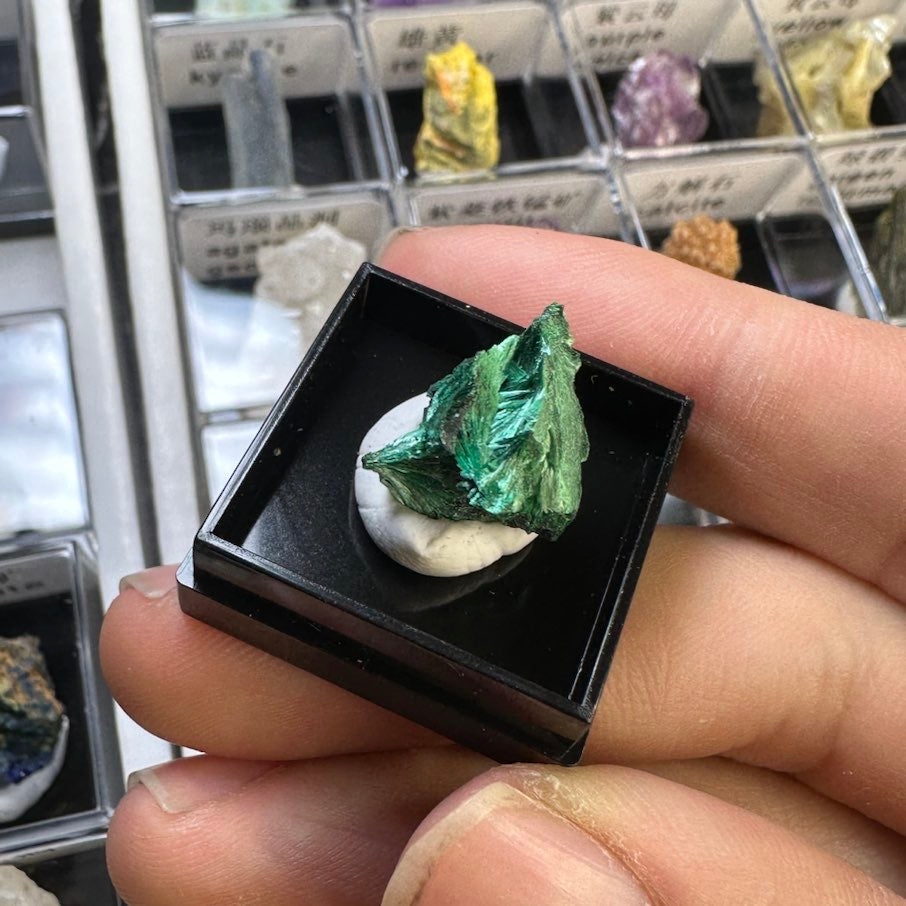 Exquisite Specimens Box – zaiencrystal.com