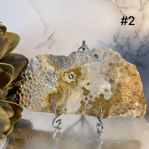 Coral Jasper Slab – zaiencrystal.com