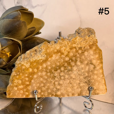 Coral Jasper Slab – zaiencrystal.com