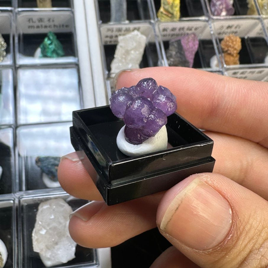 Exquisite Specimens Box – zaiencrystal.com